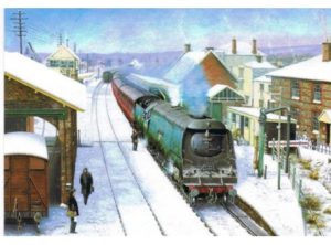 Pines Express at Blandford • S&DRT